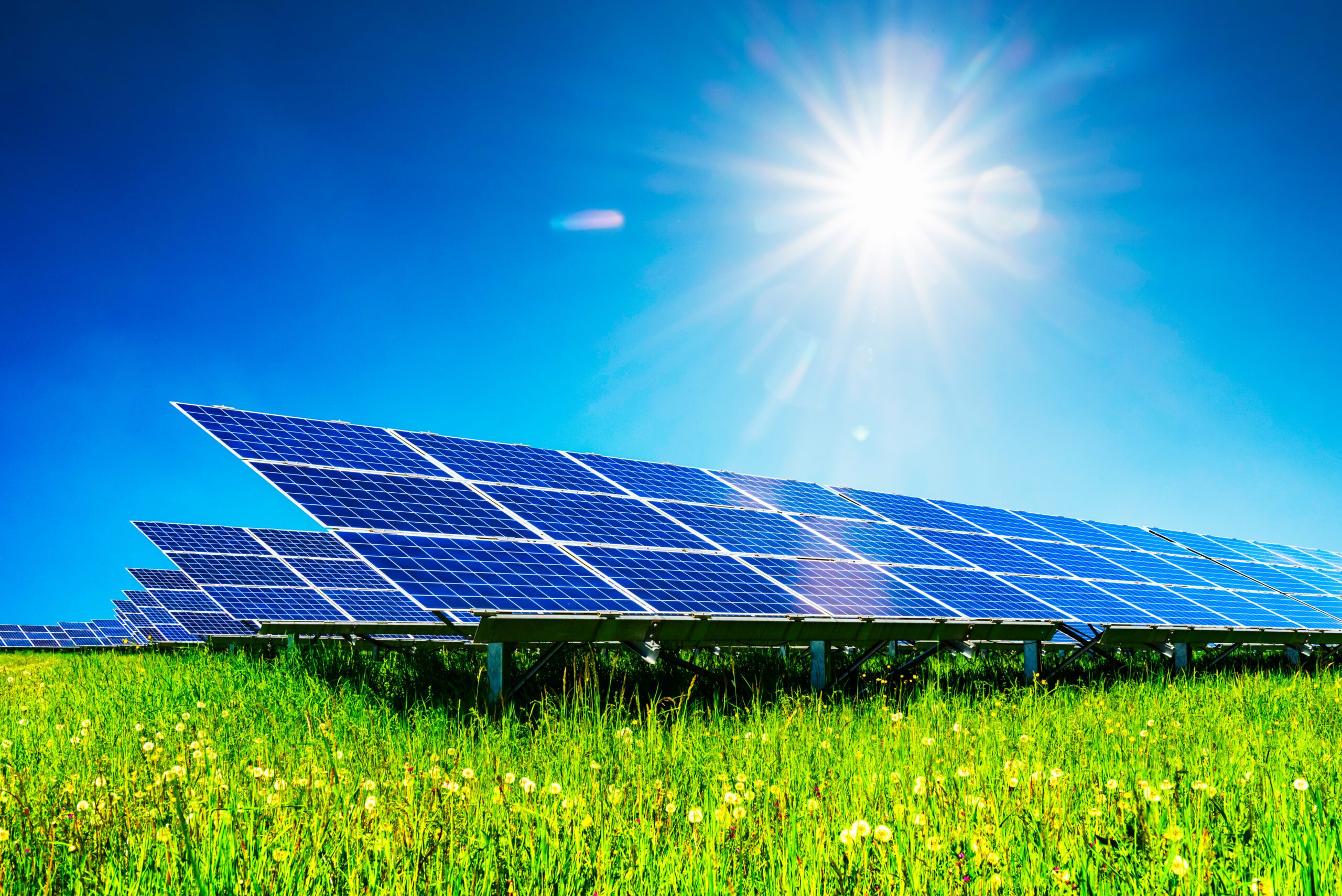Cooks Mill Solar Energy Project | Alberici